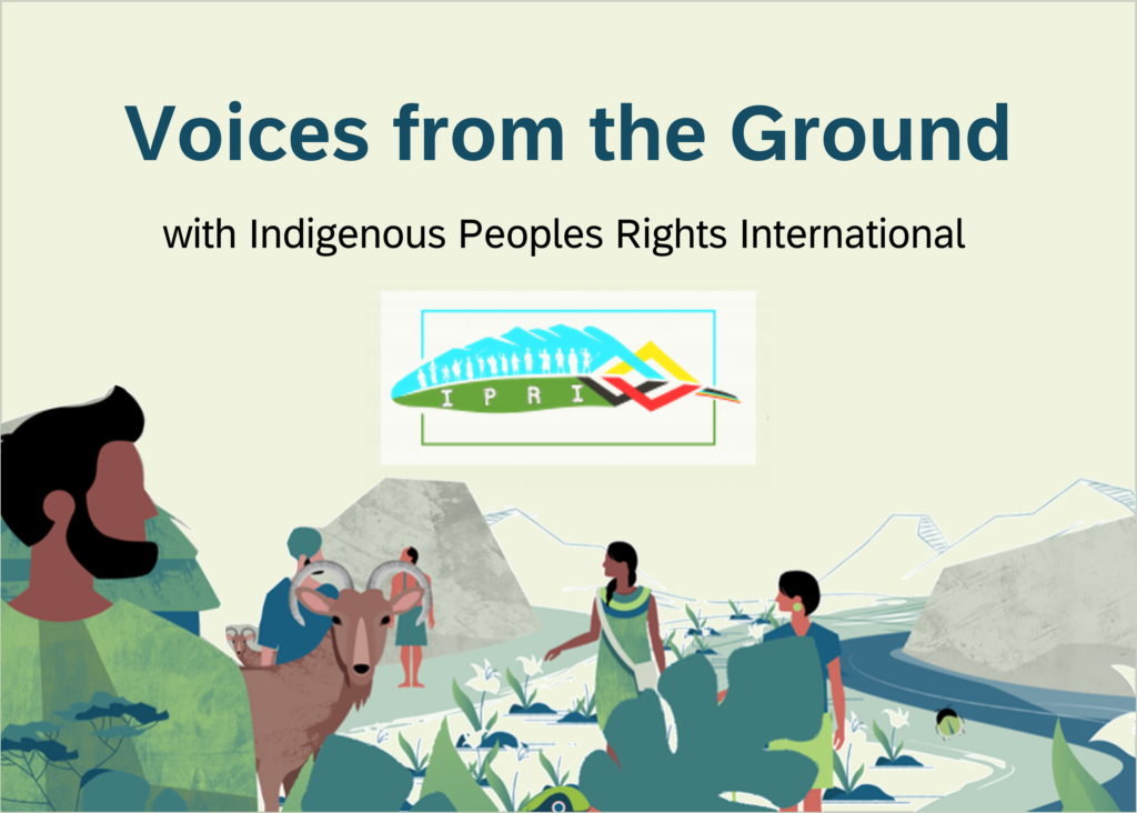 Indigenous representatives from Latin America and the Arctic