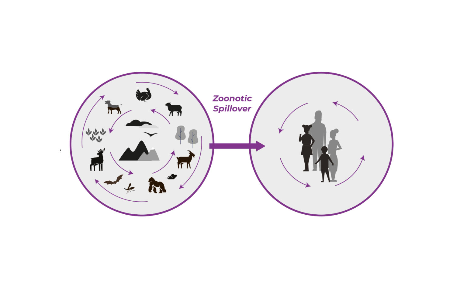 OHHLEP whitepaper: Prevention of zoonotic spillover