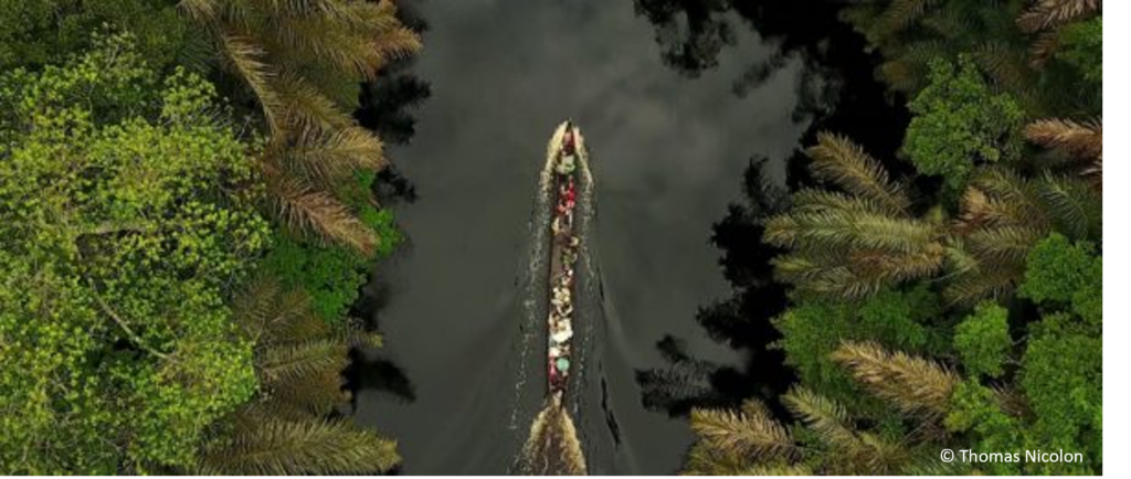 Voices from the Ground: What to learn from a bushmeat consumption and ...